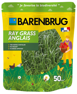 Ray Grass Anglais | Solution Biodiversité Barenbrug
